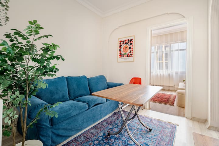 Merkezde Yepyeni Genis Daire - Istanbul