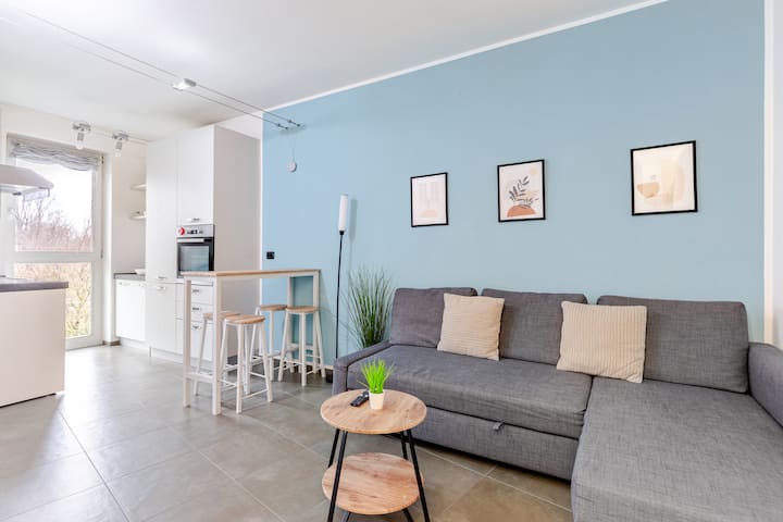 [Aurum Bridge] Elegante Appartamento - Pavie