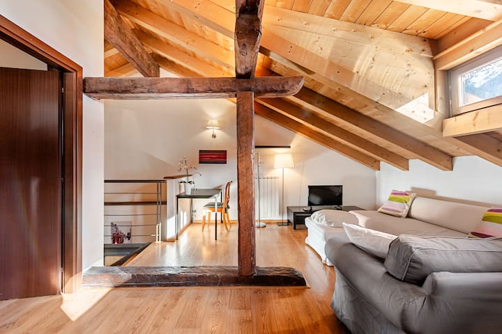 Dolomiti Penthouse - Il Tuo Nido Tra Le Vette - Sauris di Sotto