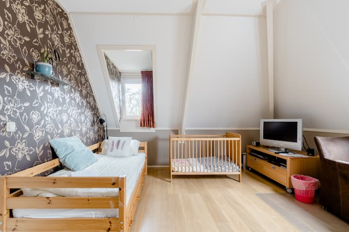 Bed En Breakfast ,T Kienholt Kienholt 1 Zuidwolde - Drenthe