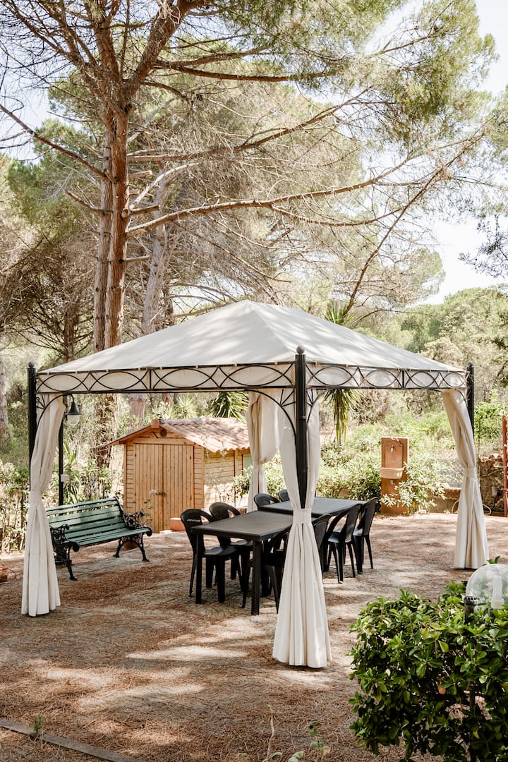 Grace House Nel Verde, A Un Respiro Dal Mare - Porto Torres