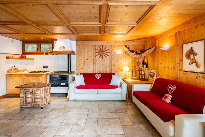 Warm And Cozy Depandance (45mq) - Pieve di Cadore