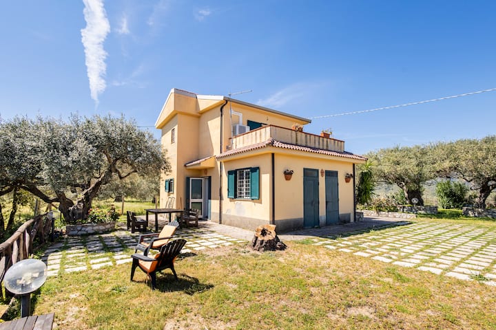 Villa In Uliveto "Il Giardino Di Rocco" - Davoli