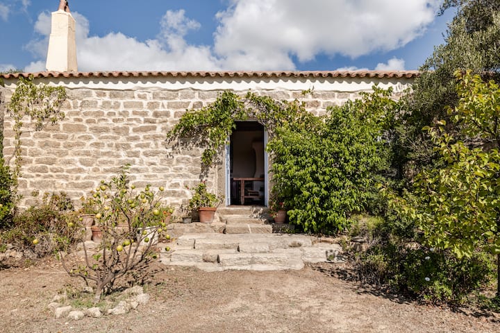 Casa Anita - Arzachena