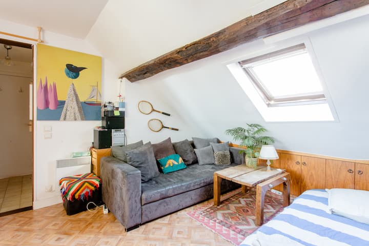 Salon Avec Lit-double Dans Appartement Partagé - Paris