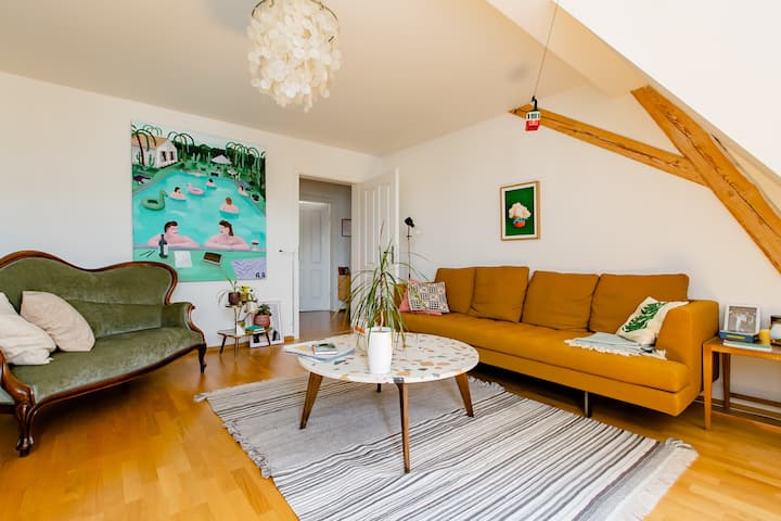 Artist Flat In Trendy Wiedikon - Zürich