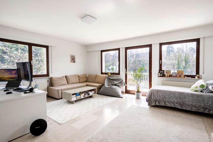 Private Room In Luxurious Apartment + Free Garage - Luxembourg