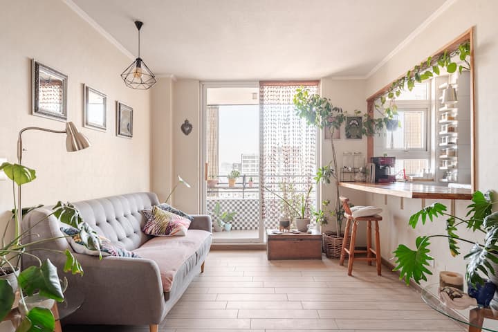 Departamento Barrio Italia - Santiago (Chile)