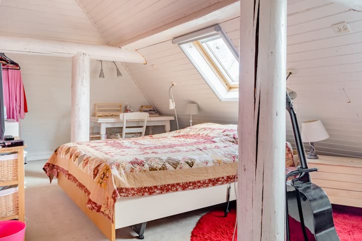 De Roze Kamer, Met Elektrisch Verstelbare Bedden. - Drenthe