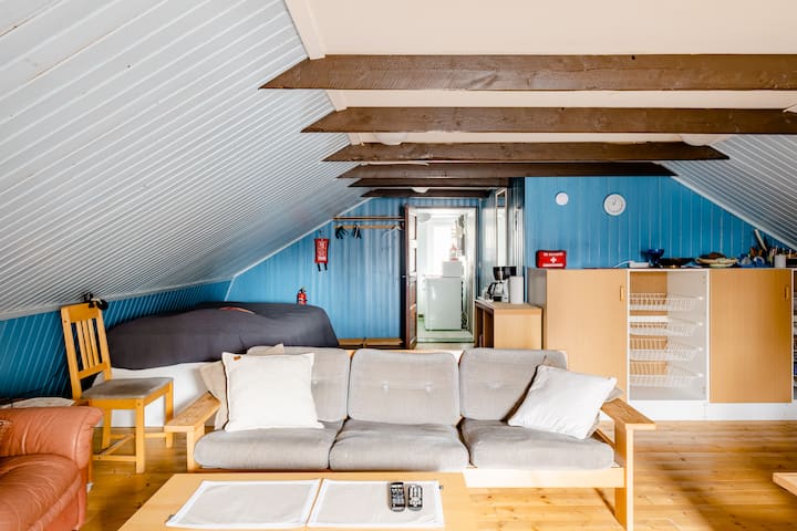 A Large Atticroom In A City House_city Center - Finland