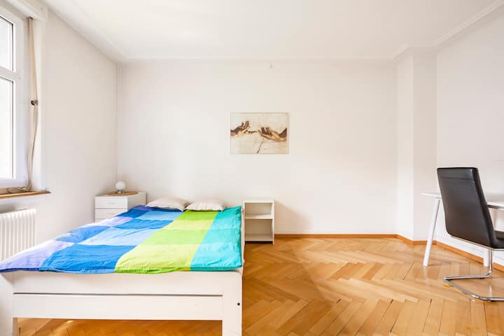 Spacious Comfortable Big Room In The City Center - Basel
