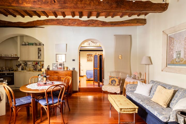 Appartamento Romantico Nel Centro Storico Di Siena - Siena