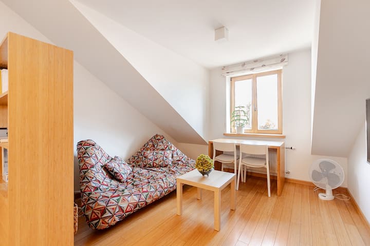 Old Town Green Bridge Apartment - Vilnius