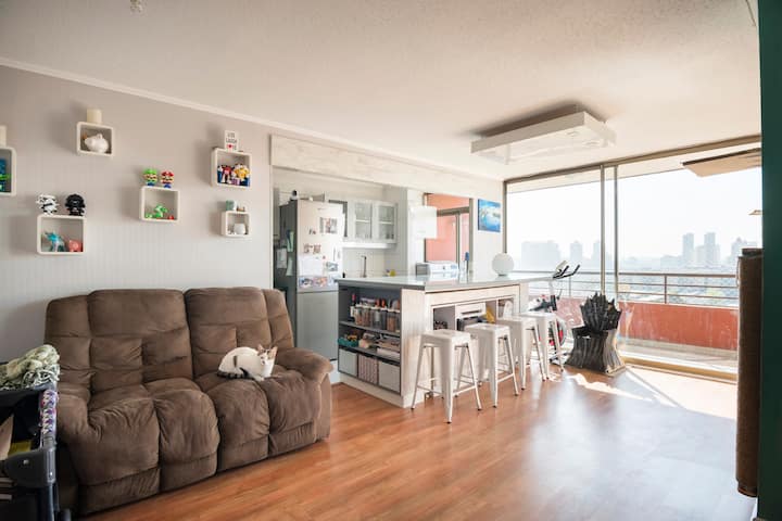 Habitación En Santiago Centro, Movistar Arena - Chile
