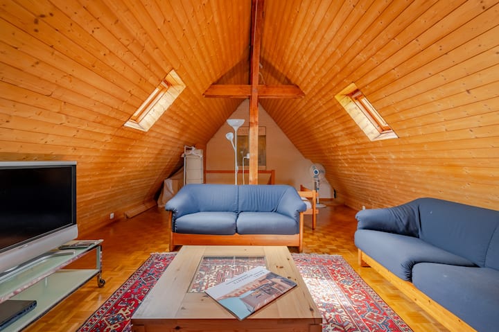 Family & Child-friendly, Near Congress Center - Basel