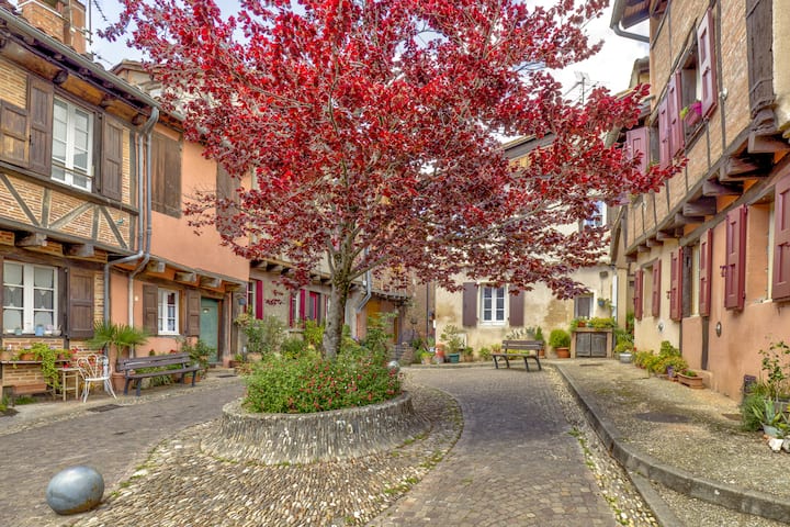 " Place Savène "  Studio Albi Unesco 3 éToiles - Albi