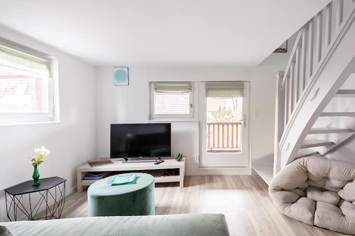 Beau Duplex  2 P Dans Maison Alsacienne, Piscine - Erstein