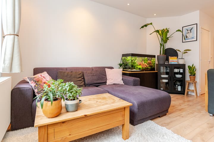 Cozy Renovated Apartment With Aquarium - Amsterdam