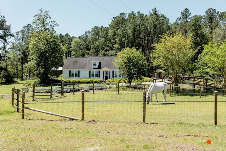 Farmhands Room @ Lazy Dog Acres - Lodge, SC