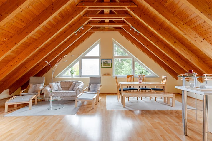 Großzügige Maisonette-wohnung In Waldrandlage - Leverkusen