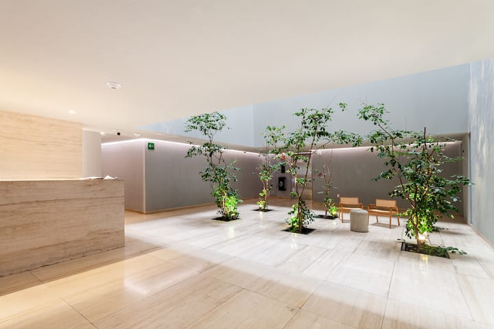 Hermoso Departamento - Mexico City