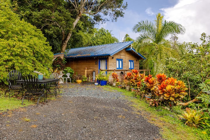Puerto Rico Tiny House Vacation Rentals | Airbnb