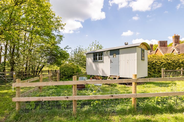 Delightful Shepherd's Hut In Surrey - East Sussex