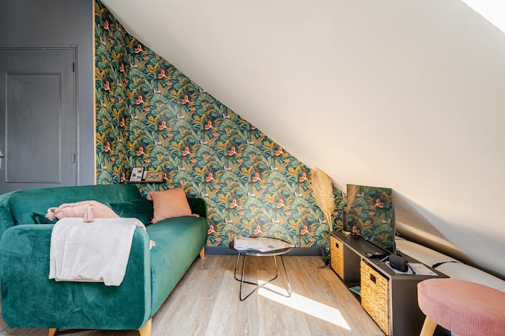Appartement 1 Chambre Et 2 Vélos - Saint-Malo