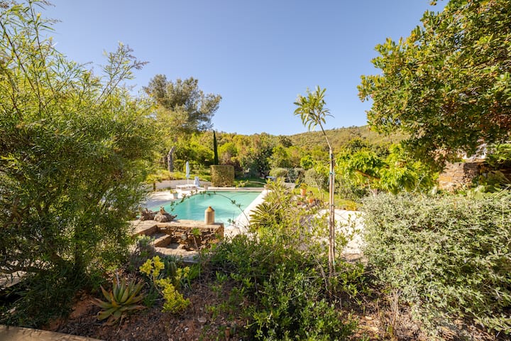Chambre Jaune  Dans Villa Avec Piscine, - Bormes-les-Mimosas