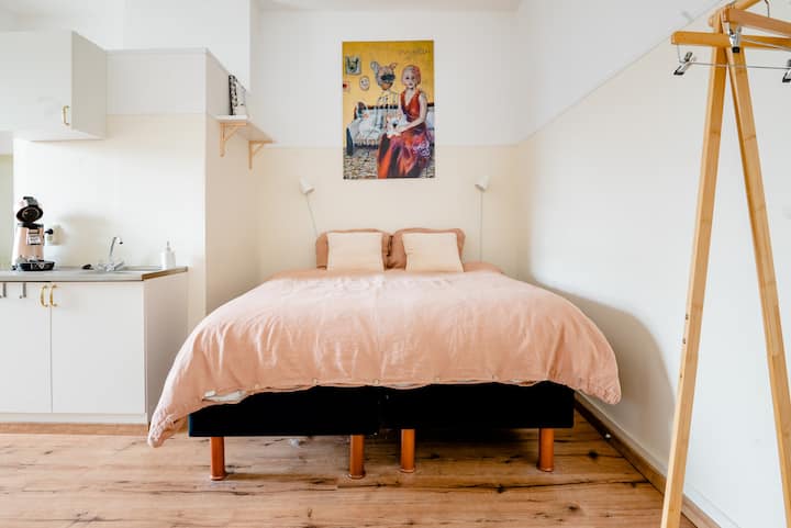 A Light, Spacious, Private Room & Private Shower - The Hague