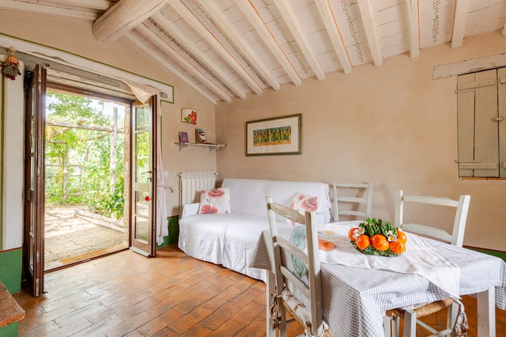 La Cervaiola Dimora Di Campagna - Bolsena