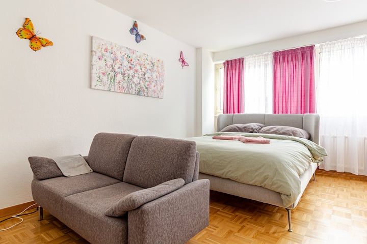 011 Appartement Centre-ville De Genève - Genève