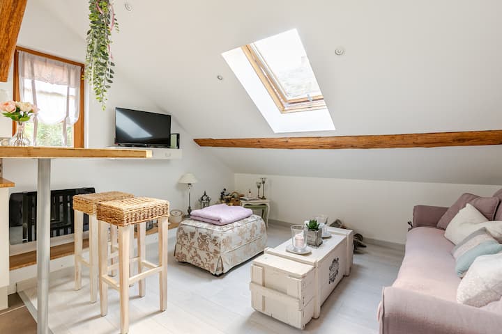 Loft Atypique De Charme, Garage Privatif - Barr
