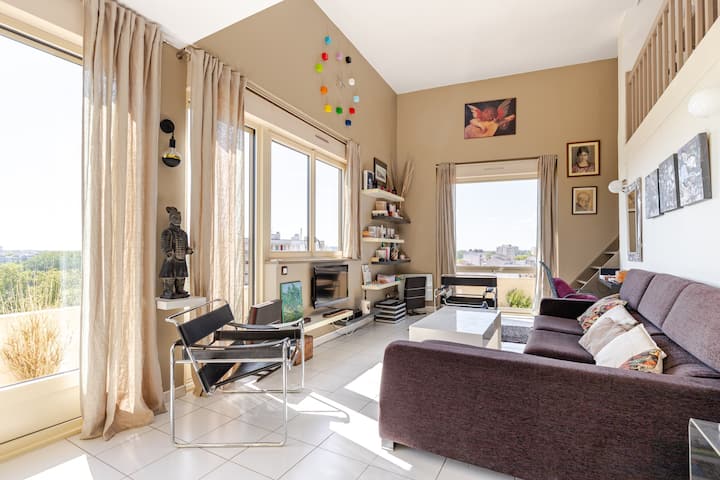 Vue Panoramique Sur La Garonne - Ibis Toulouse Purpan Aeroport