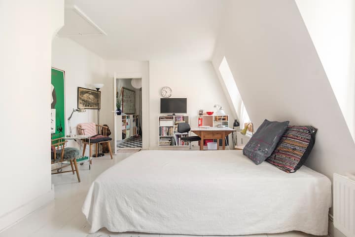 Cosy Studio Wiewing  Marble Dome - Copenhague