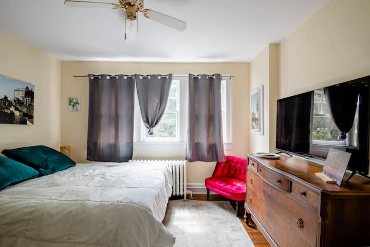 The Cat's Meow: A Private Room In The Jungle House - Roanoke, VA