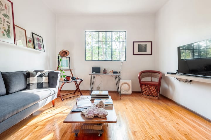 Experience Mexico City From An Artful Apartment - Mexico City
