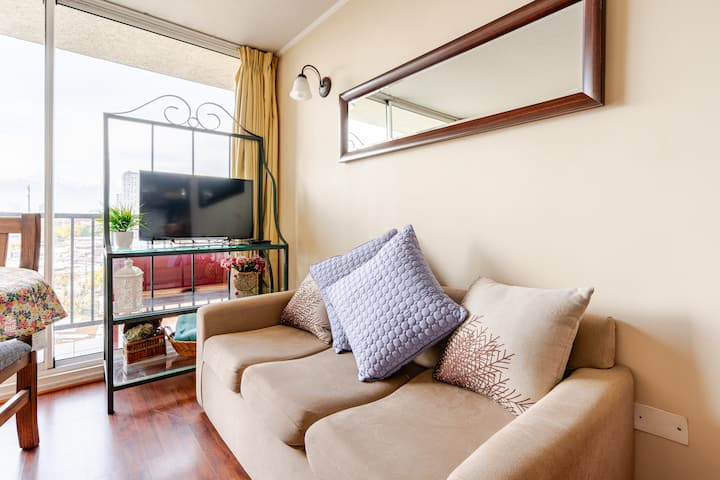 Departamento Santiago Centro - Santiago