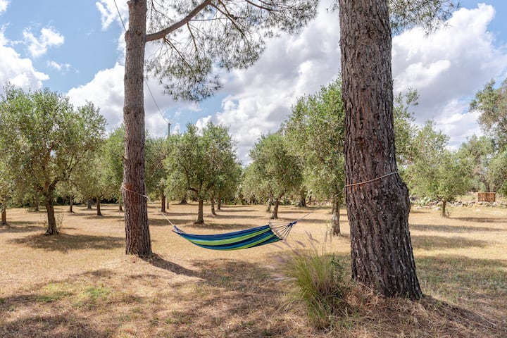 The Olive Grove Hideaway - Francavilla Fontana