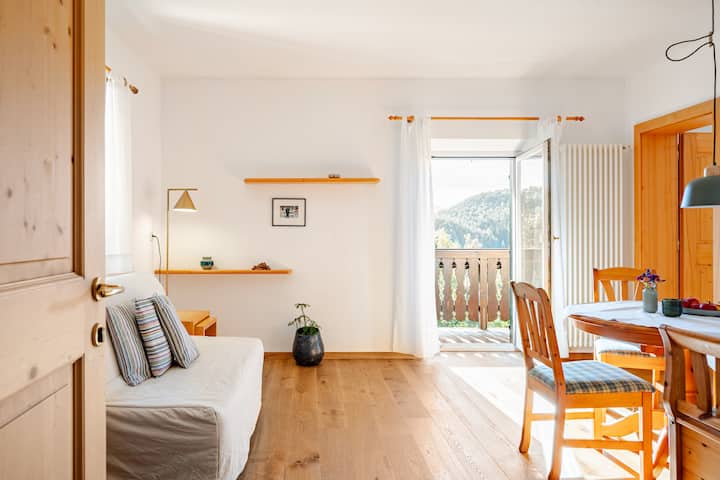 App. Lisi  Inkl. Mobilcard Kostenlos | Waldegg - Alpe di Siusi