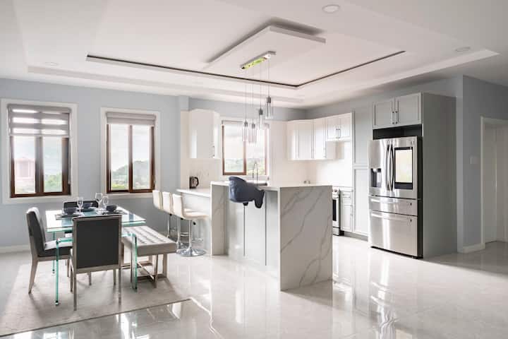 Luxury Penthouse With Private Outdoor Terrace - Kingston