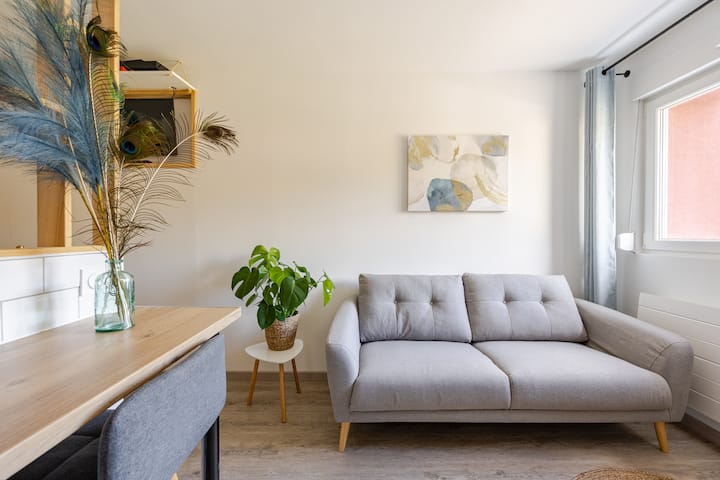 Home Sweet Metz_netflix Et Parking - Metz
