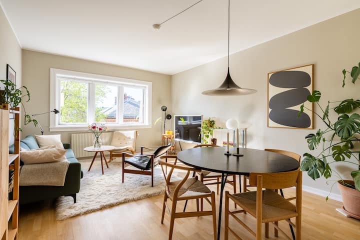Newly Renovated Apartment! - Oslo
