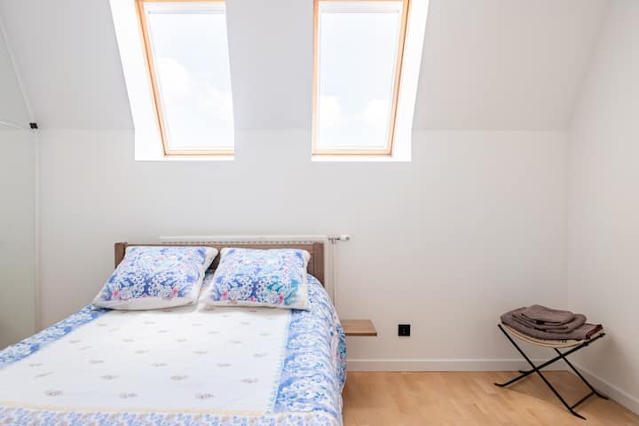Private Room And Bathroom In Central Penthouse - Viena