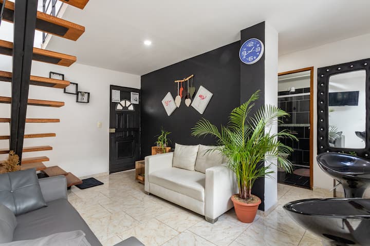 Paraíso Blanco & Negro - La Ceja