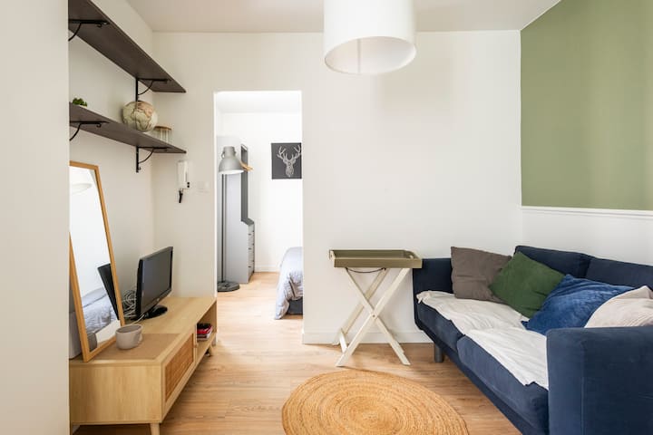 Proche Gare/science Po/bsb - Dijon