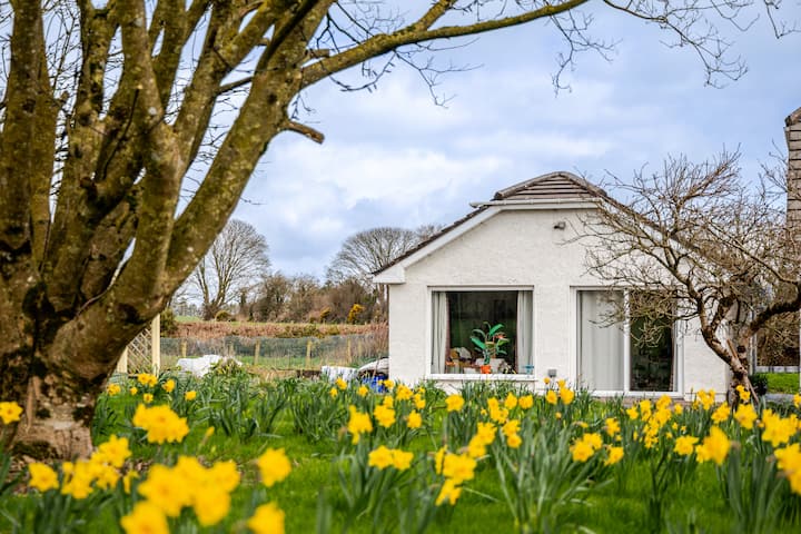 Blarney Countryside Private Guest Studio - Cork