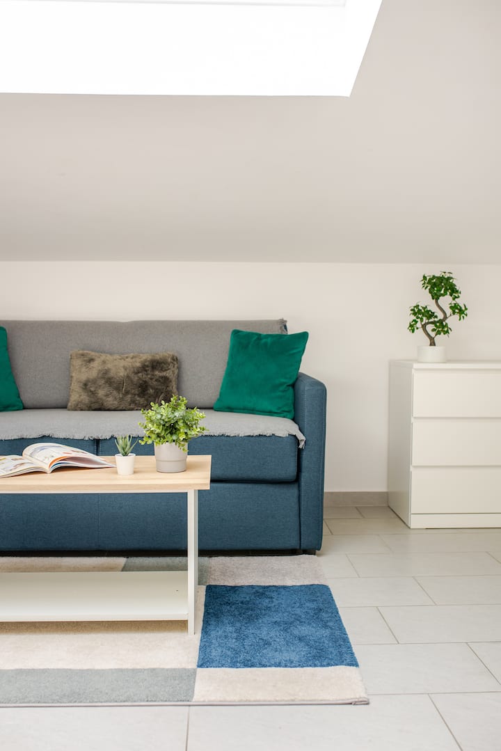 Immense Studio Situé à 10 Min De La Gare Part-dieu - Lyon