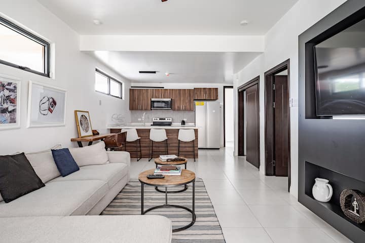 New! Modern 1 Bedroom 1 Bathroom Condo - Kingston