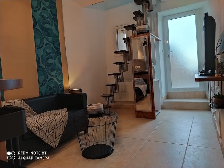 Appartement En Duplex, Proche Village - Forêt de Bonifatu